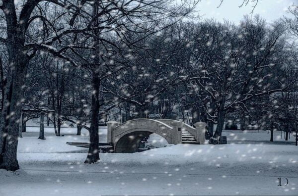 Light Up Liberty - Sedalia Convention & Visitors Bureau